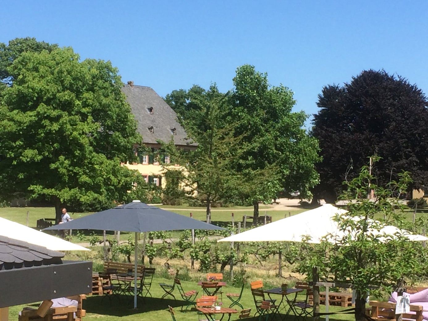 Rheingau Prinzessin - Wissenswertes rund um den Rheingau
